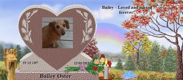 Bailey Oster's Rainbow Bridge Pet Loss Memorial