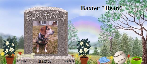 Baxter's Rainbow Bridge Pet Loss Memorial