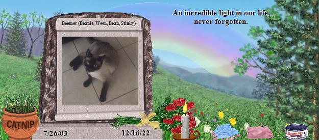Beemer (Beanie, Ween, Bean, Stinky)'s Rainbow Bridge Pet Loss Memorial