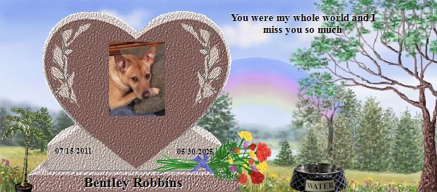 Bentley Robbins's Rainbow Bridge Pet Loss Memorial