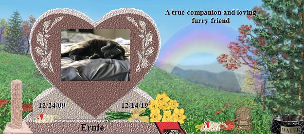 Ernie's Rainbow Bridge Pet Loss Memorial