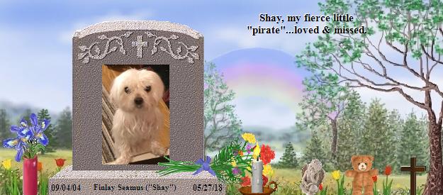 Finlay Seamus ("Shay")'s Rainbow Bridge Pet Loss Memorial