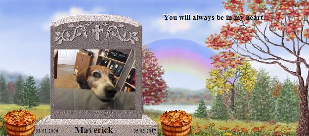 Maverick's Rainbow Bridge Pet Loss Memorial