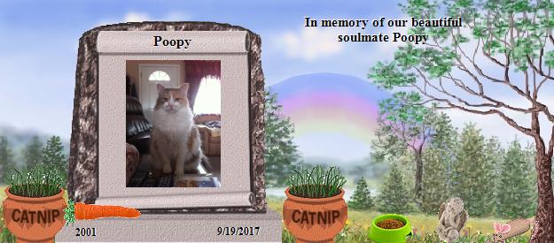 Poopy's Rainbow Bridge Pet Loss Memorial